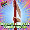 Worlds Largest Gummy Worm – Candy Blast Shop